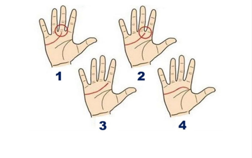 Fotogaléria - Pozrite sa na svoju dlaň a nájdite čiaru srdca. Ak tá ...